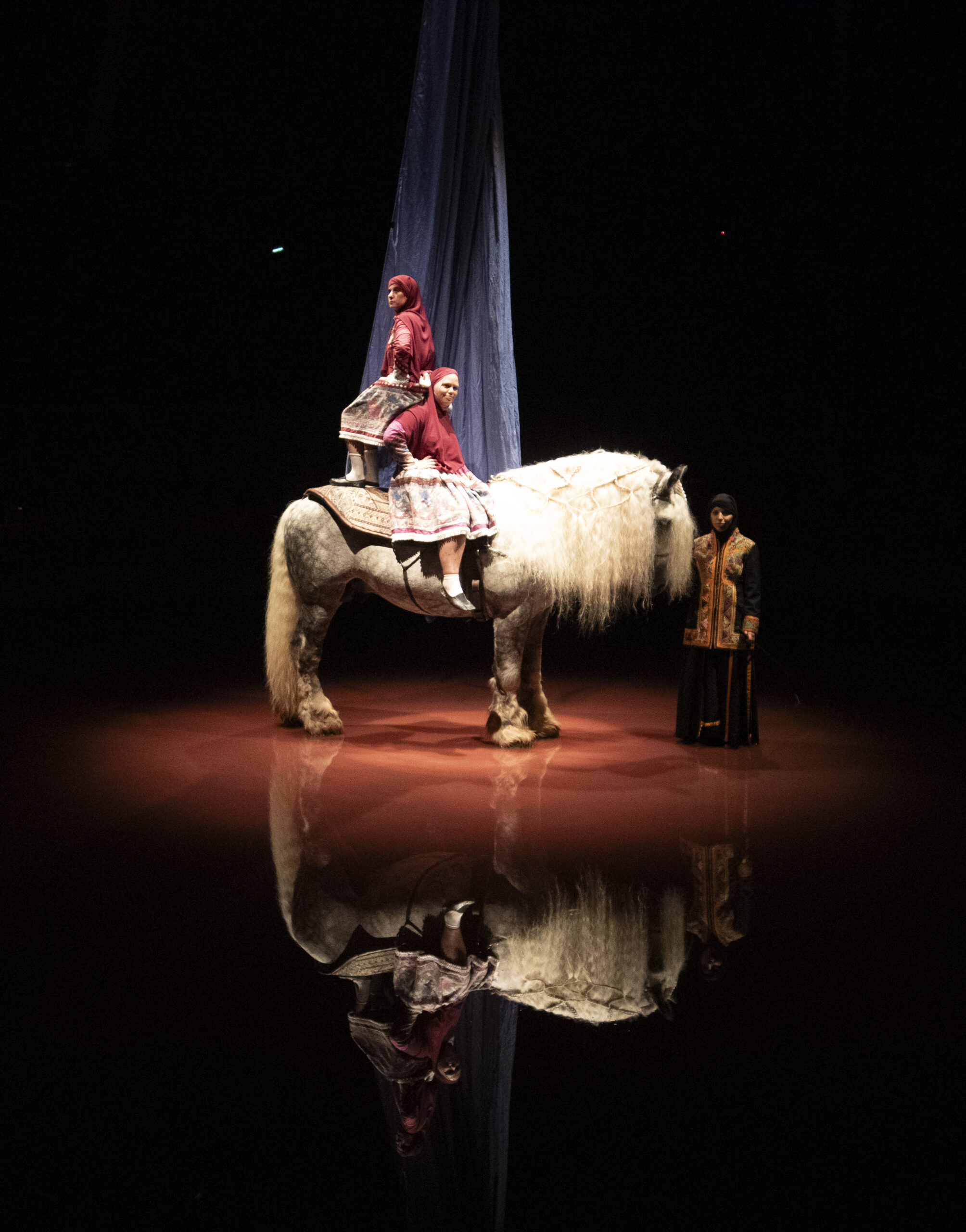 Les spectacles du Théâtre équestre Zingaro